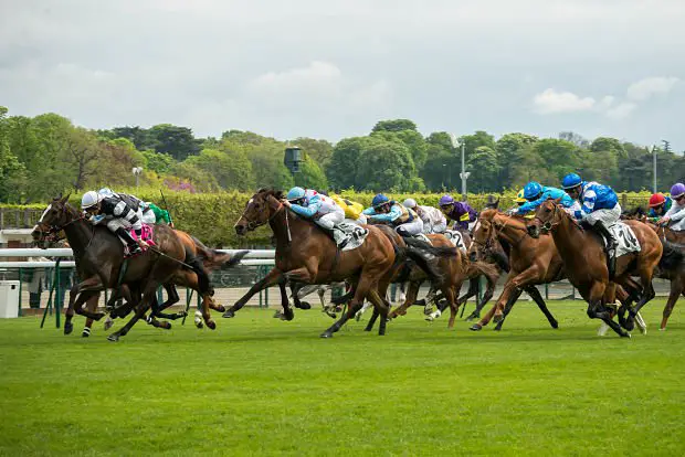 Best Activities To Do In Paris During the Spring: Top 9 Ideas For You