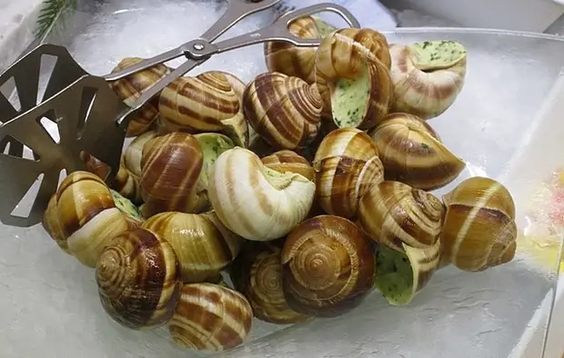 Where to Eat the Best Escargots (Typical From France) in Paris?