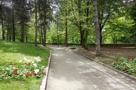 Our Favourite Walks in Paris (Including Our Own Itineraries)