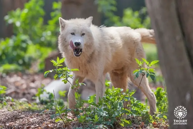 Top 15 Leisure and Theme Parks In, or Around, Paris, for All Age