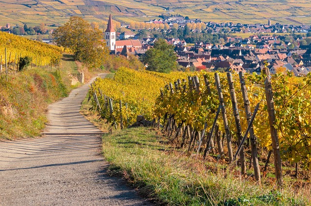7 Best Wine Regions in France