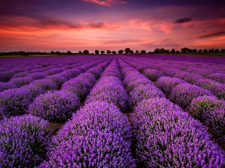 17+ Beautiful Nature Scenes in France (You’ll Fall in Love With These ...